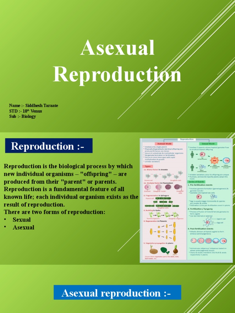 Asexual Reproduction: Name:-Siddhesh Taraate STD: - 10 Venus Sub ...