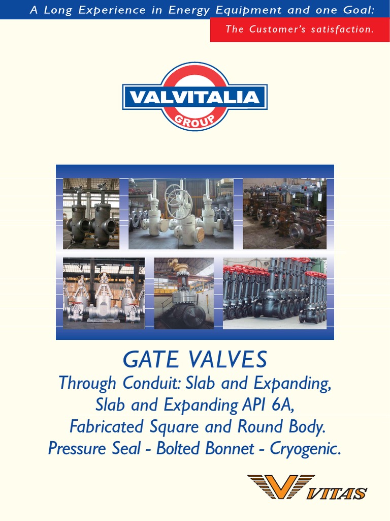Vitas Through Conduit Gate Valves Overview | PDF | Valve | Pipe (Fluid ...