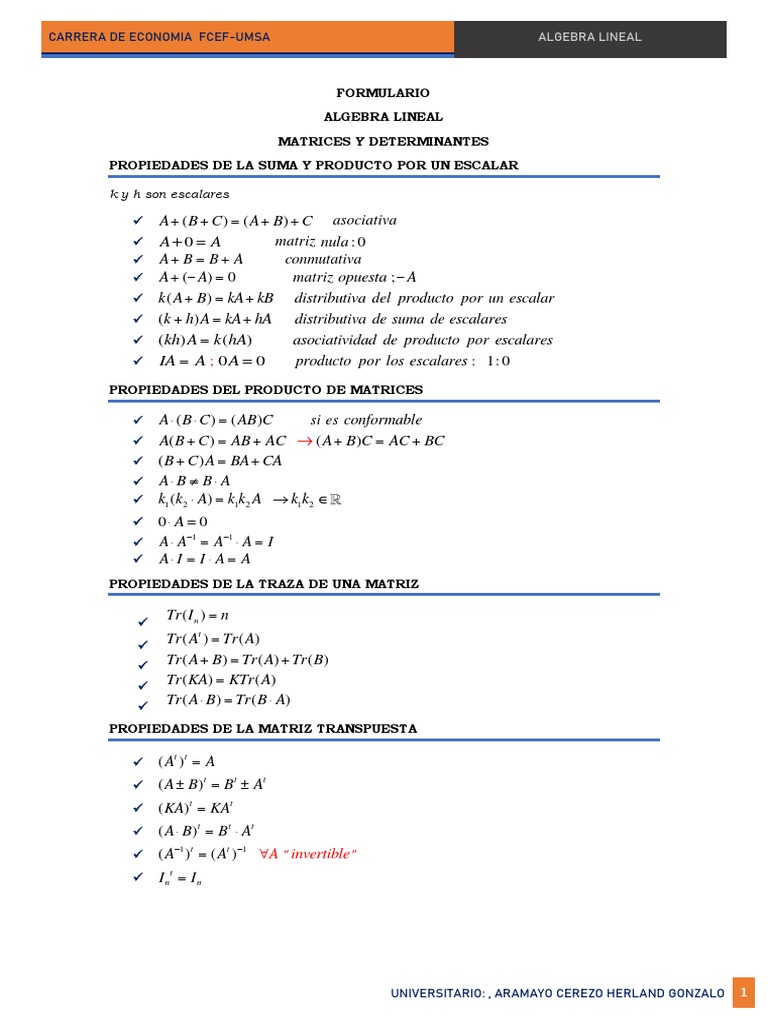 Propiedades Matrices | PDF | Matriz (Matemáticas) | Espacio vectorial