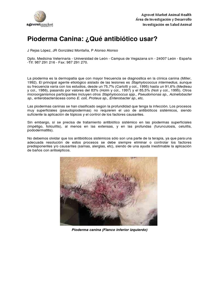 172 Pioderma Canina Espanol - 1172488df | PDF | Penicilina | Ciencias ...