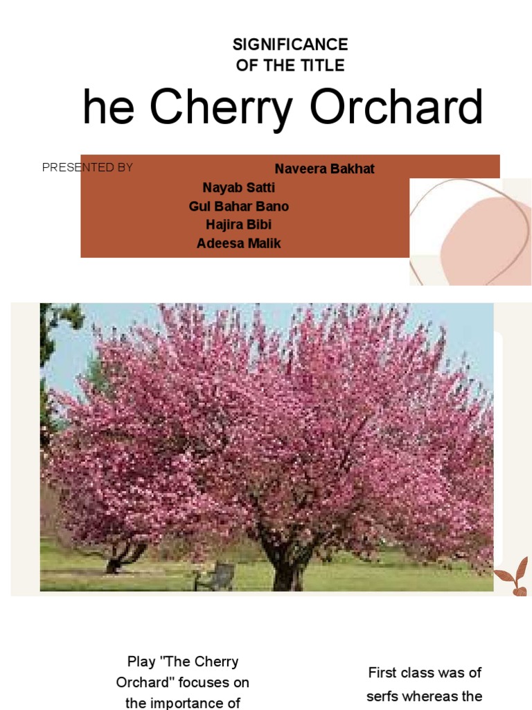 The Cherry Orchard | PDF | Economies | Political Theories