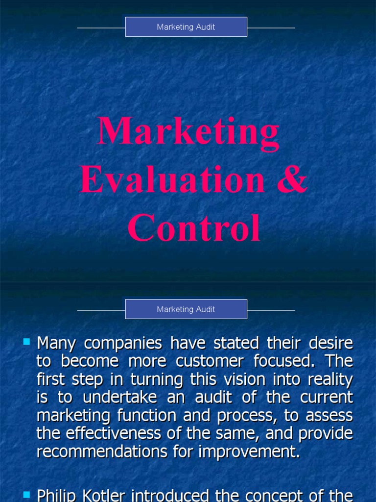 Comprehensive Marketing Audit Guide | PDF | Marketing | Market Segmentation
