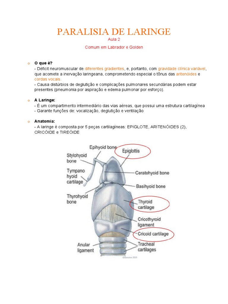 3 - Paralisia de Laringe - Aula 2, Part 2 | PDF | Laringe | Medicina ...