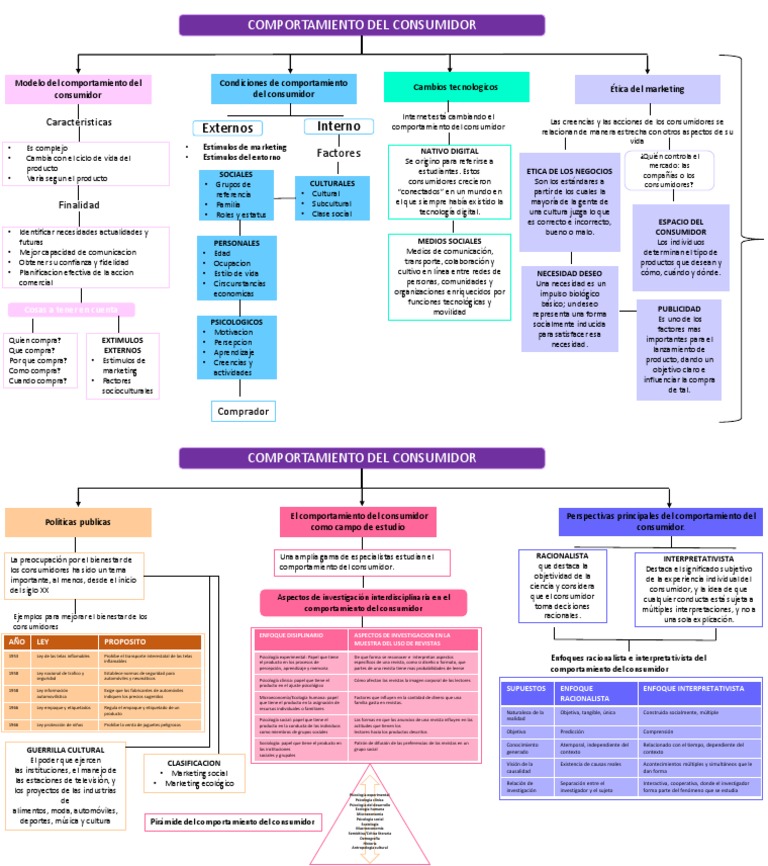 Mapa Conceptual | PDF | Comportamiento | Comportamiento del consumidor