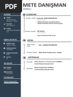 CV Ornekleri CV Hazirlama Hazir CV Ornegi Word Indir | PDF