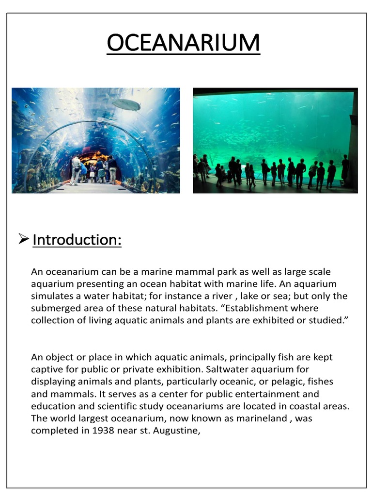 Oceanarium: Introduction | PDF | Sea | Aquarium