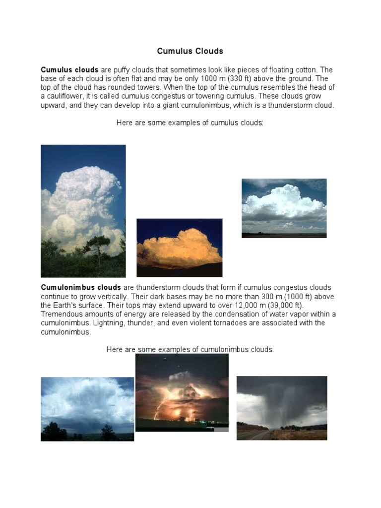 Cumulus Clouds | PDF | Cloud | Thunderstorm