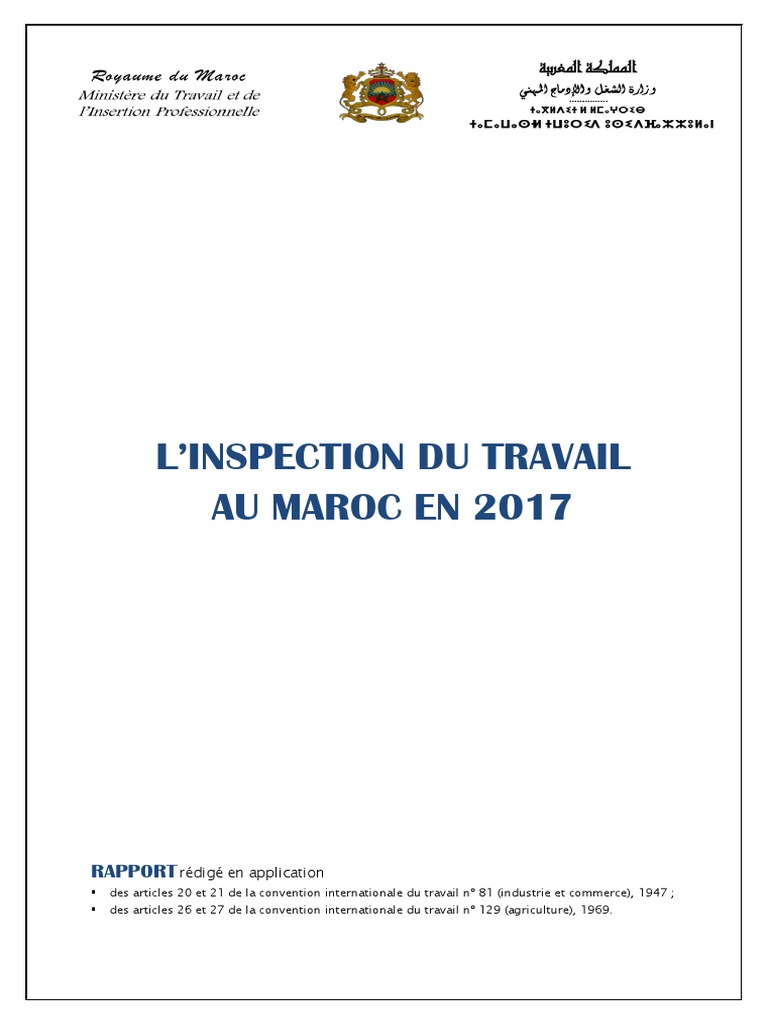rapport-IT-2017-19-6-18 1 | PDF