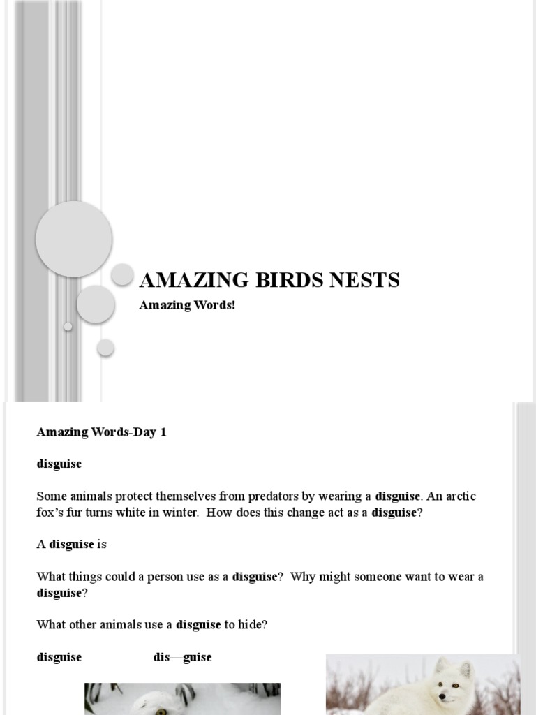 Amazing Birds Nests | PDF | Evaporation | Nest