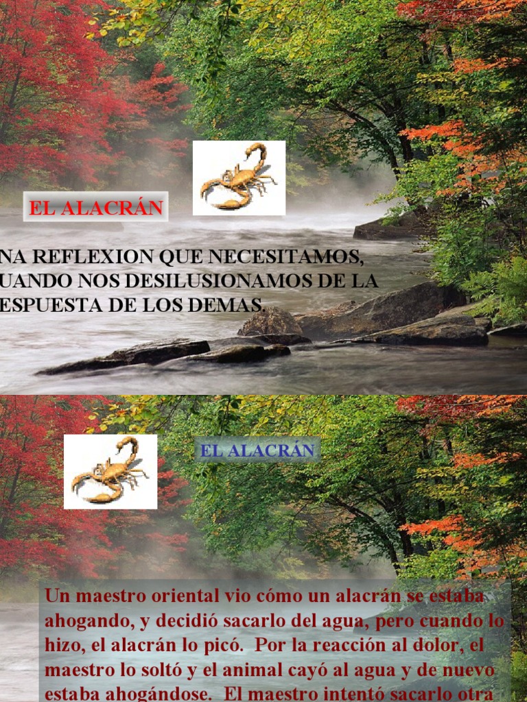 Reflexiones sobre el alacrán | PDF | Relaciones personales, crianza y ...
