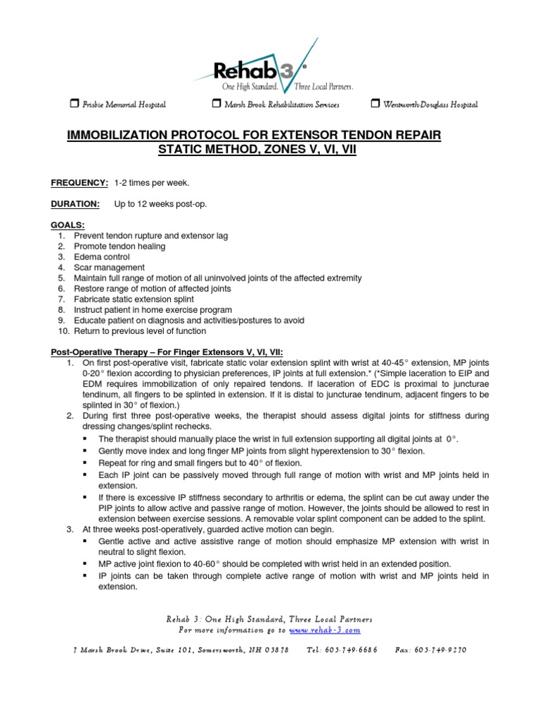 Immobilization Protocol for Extensor Tendon Repair | Anatomical Terms ...