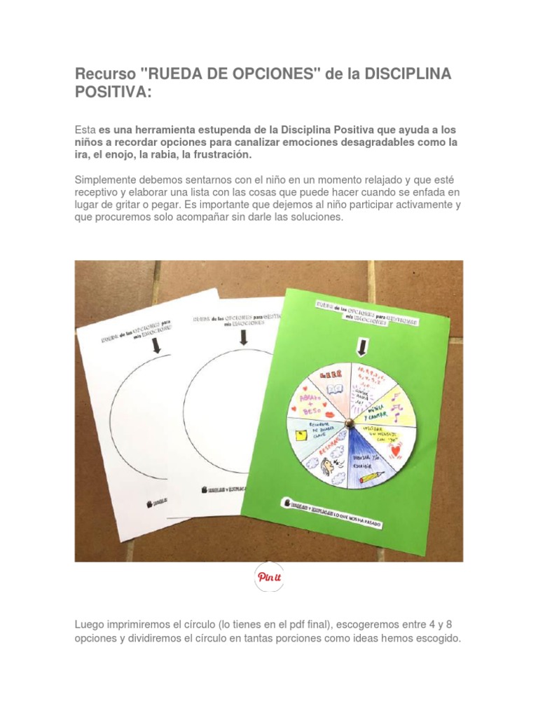 Rueda de Opciones | PDF