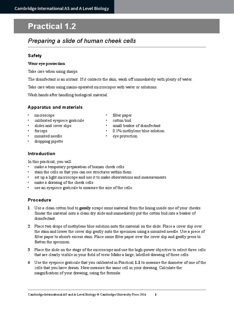 Practical 1.2: Preparing A Slide of Human Cheek Cells | PDF ...