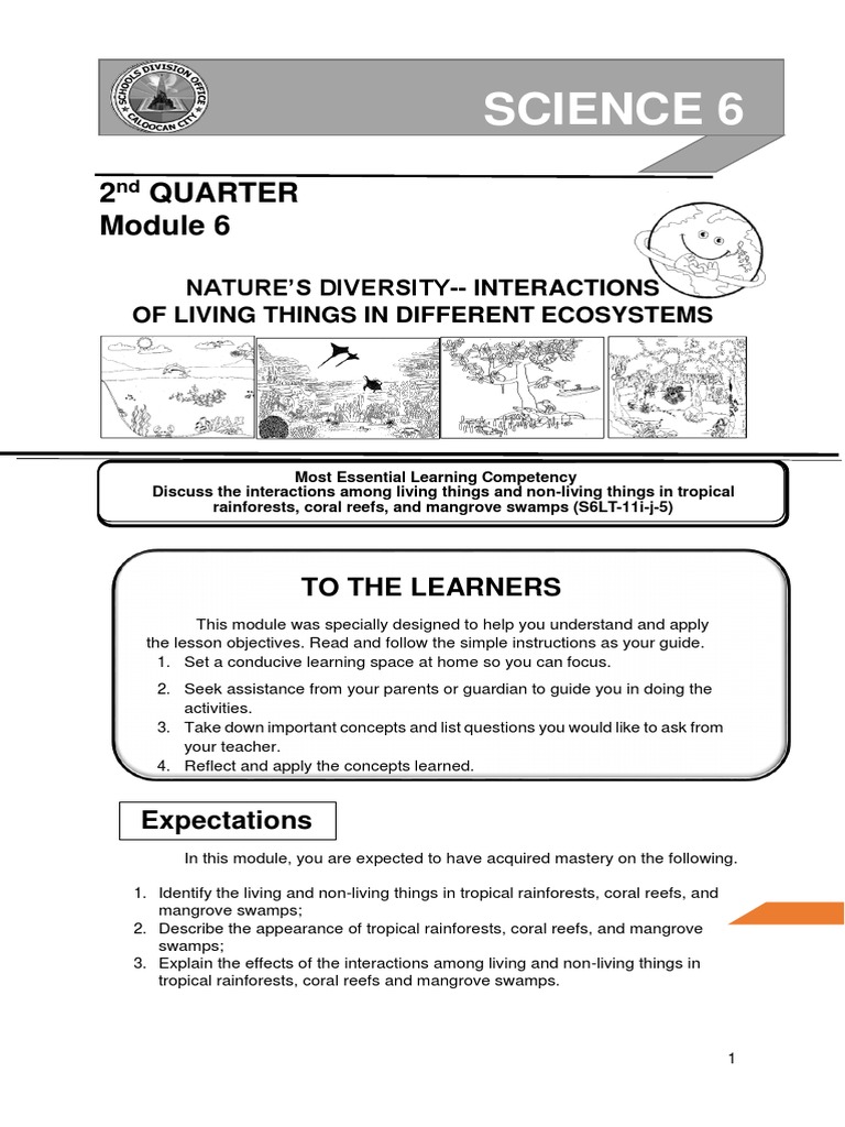 Science 6 Q2 Week 6 | PDF | Mangrove | Ecosystem