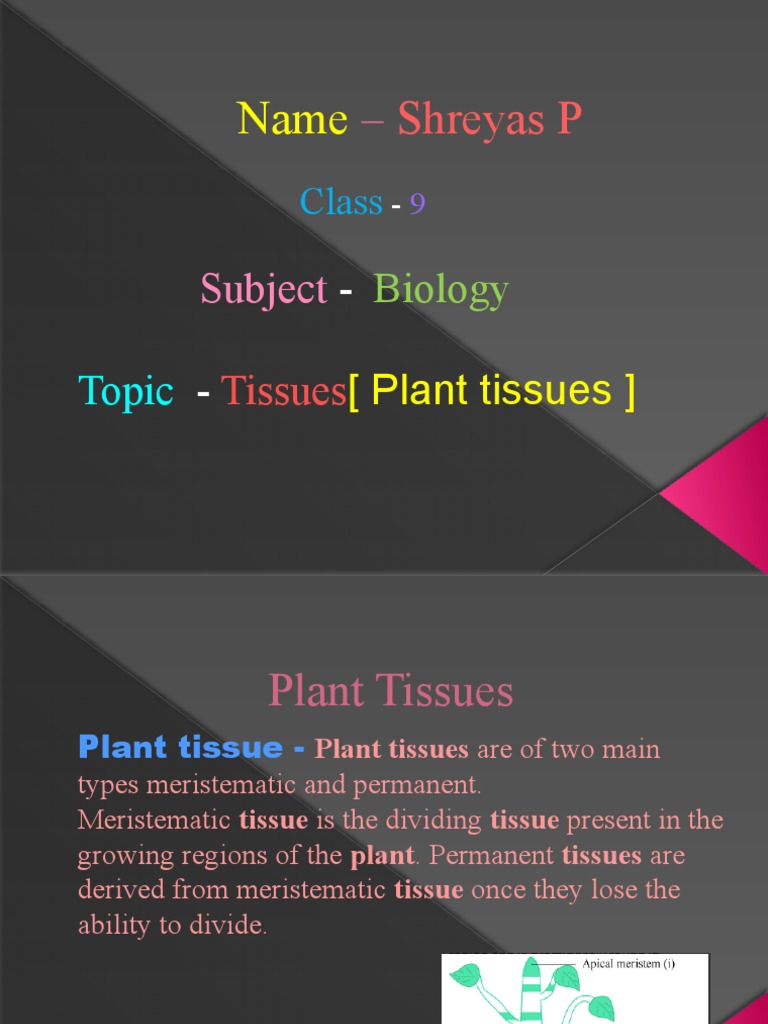 Biology Plant Tissues | PDF | Tissue (Biology) | Physiology