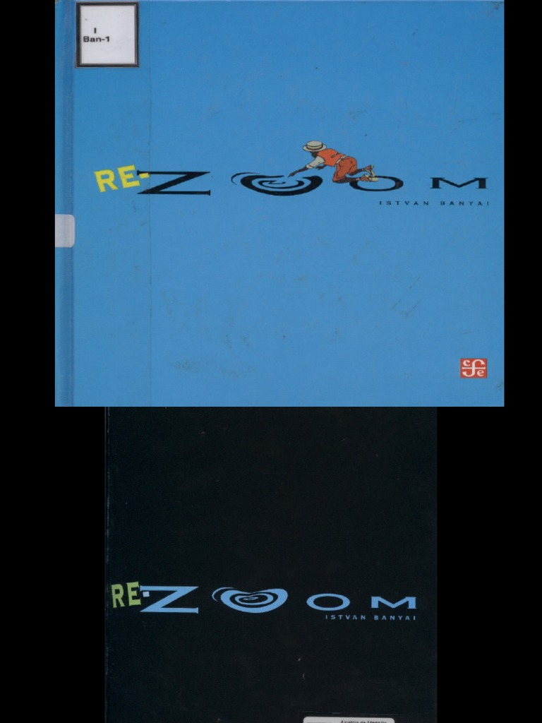 Re Zoom | PDF