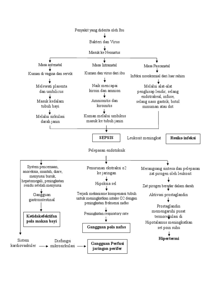 Pathway Sepsis Neonatorum | PDF