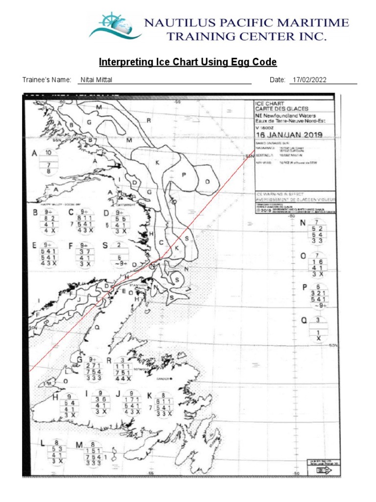TT02 - Interpreting Ice Chart Using Egg Code | PDF