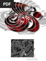 Lottery Format | PDF | Facebook | Fee