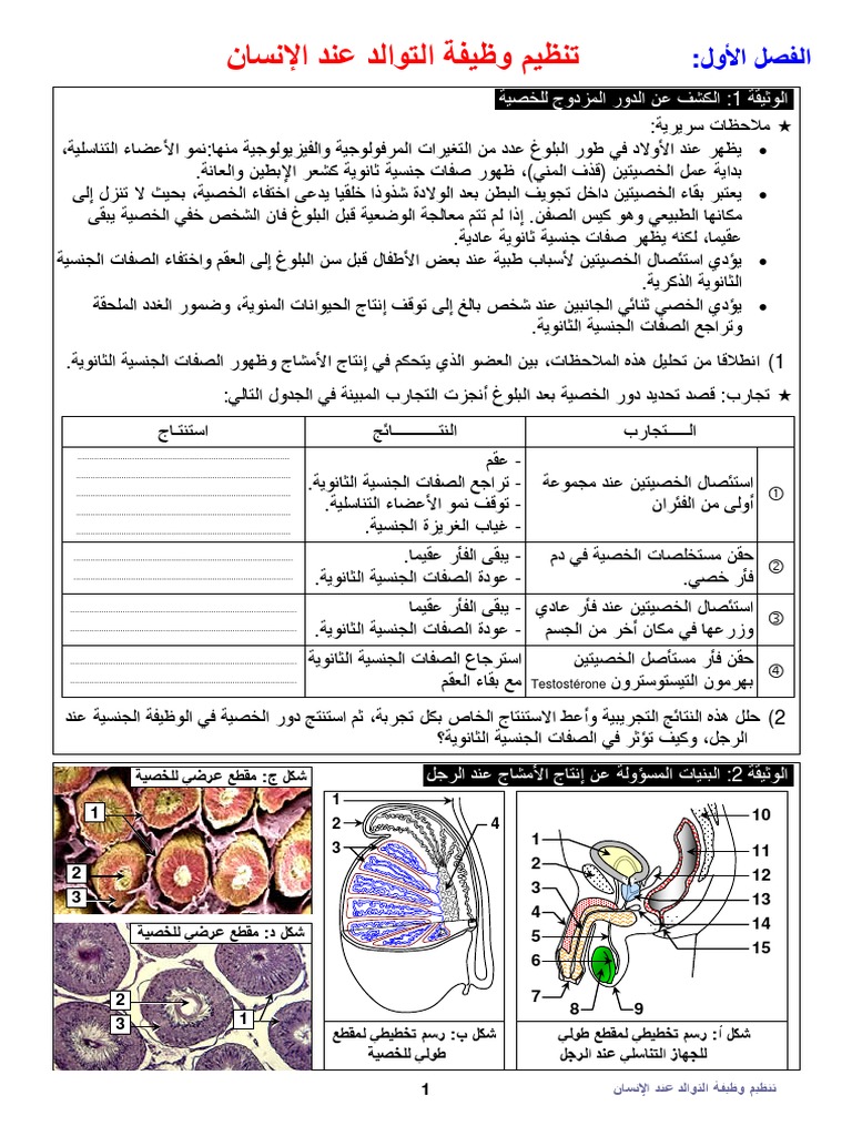 1ere SC Unit4 1 Modif | PDF