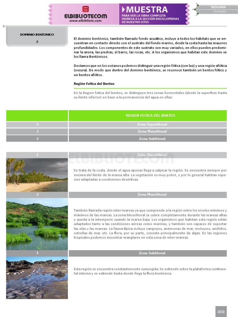 450 451 Biologia Ecosistema Dominio Bentonico | PDF | Ecología de ...