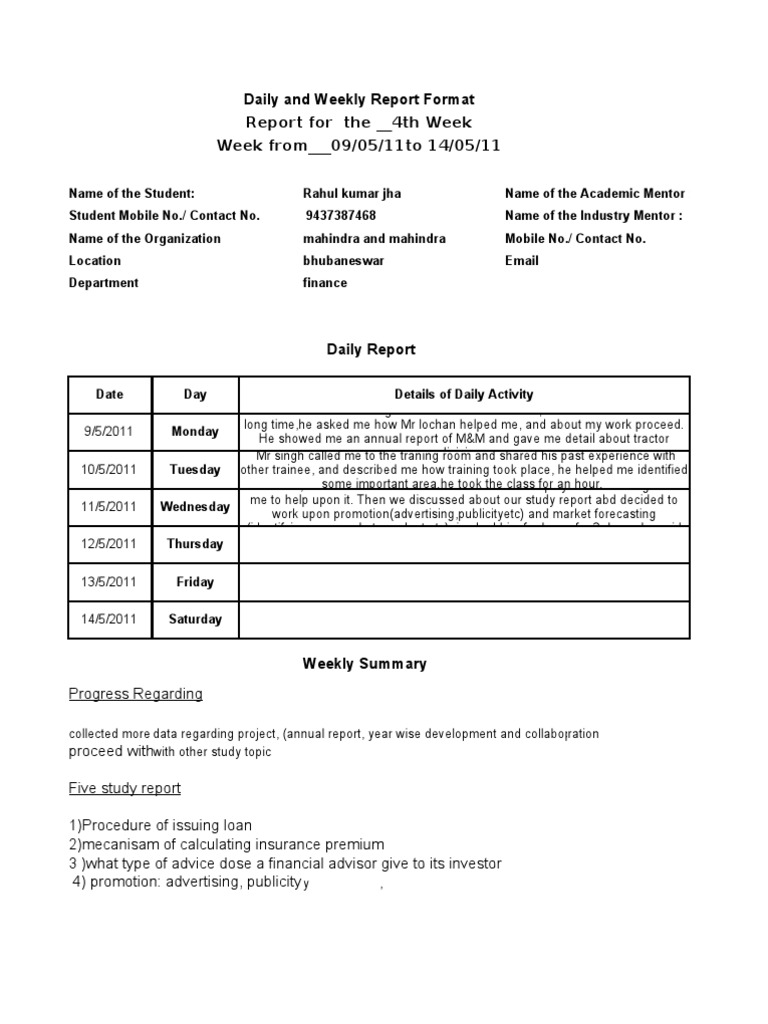 Daily Diary Weekly Reporting 4 | PDF | Economies | Business