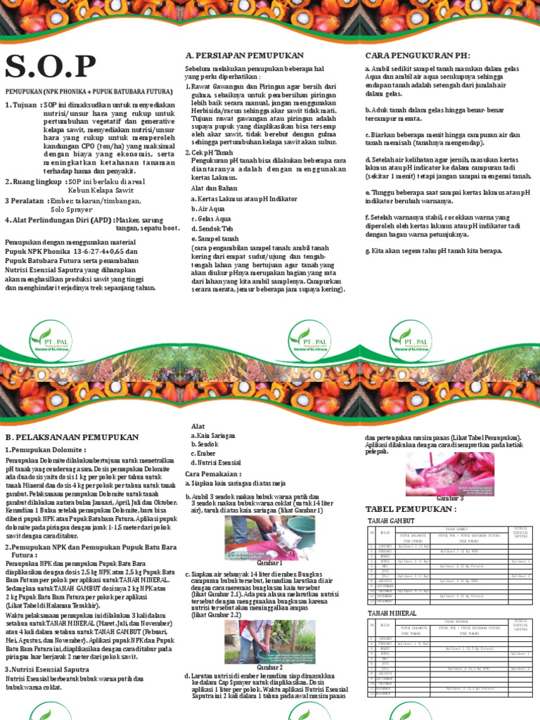 Brosur Sawit Futura Fix | PDF
