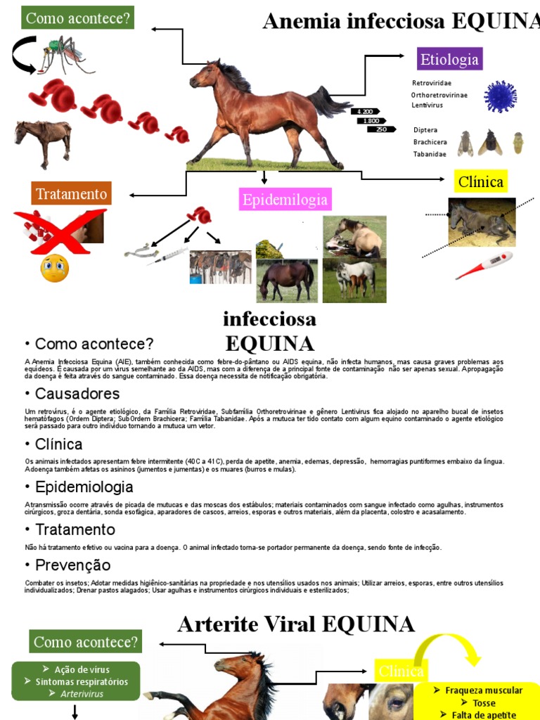 Anemia Infecciosa Equina | PDF | Vírus | Tuberculose