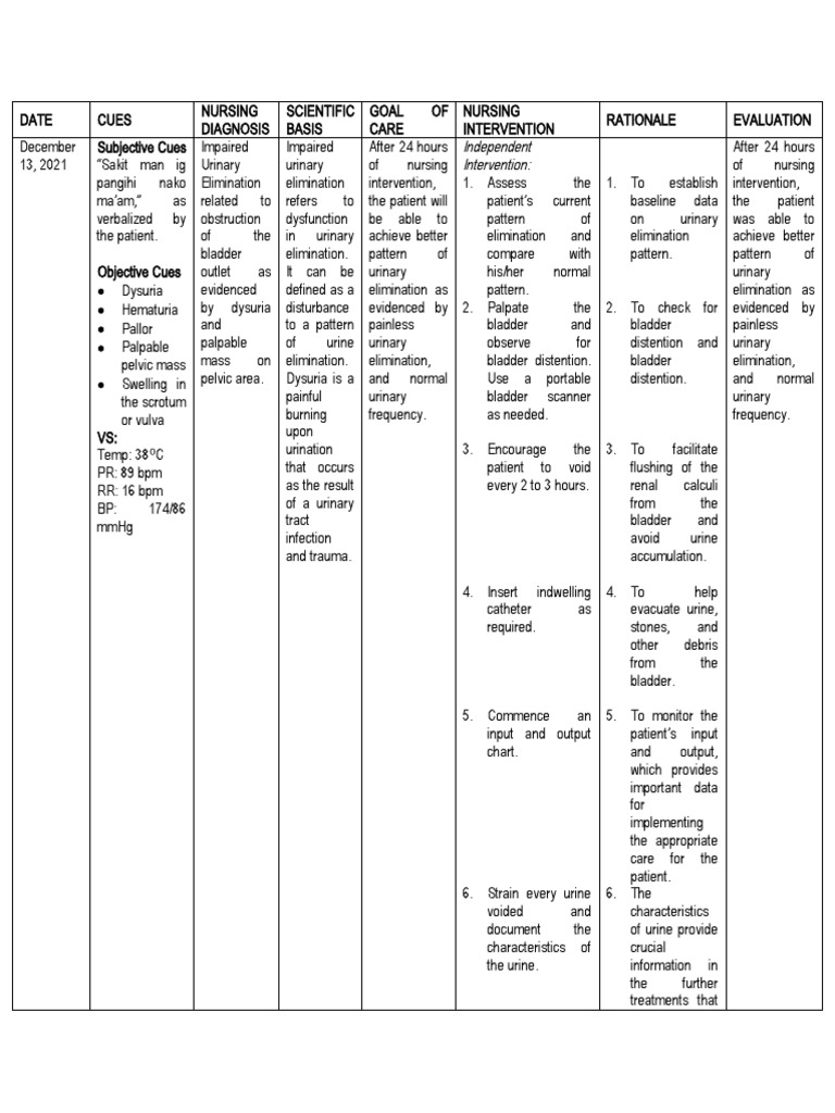 NCP Impaired Urinary Elimination | PDF | Urine | Urinary Bladder