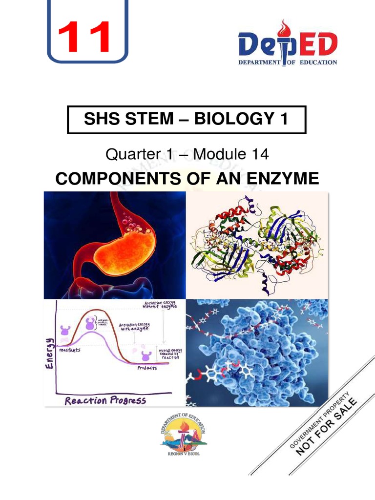 Shs Stem - Biology 1: Quarter 1 - Module 14 | PDF | Enzyme | Active Site