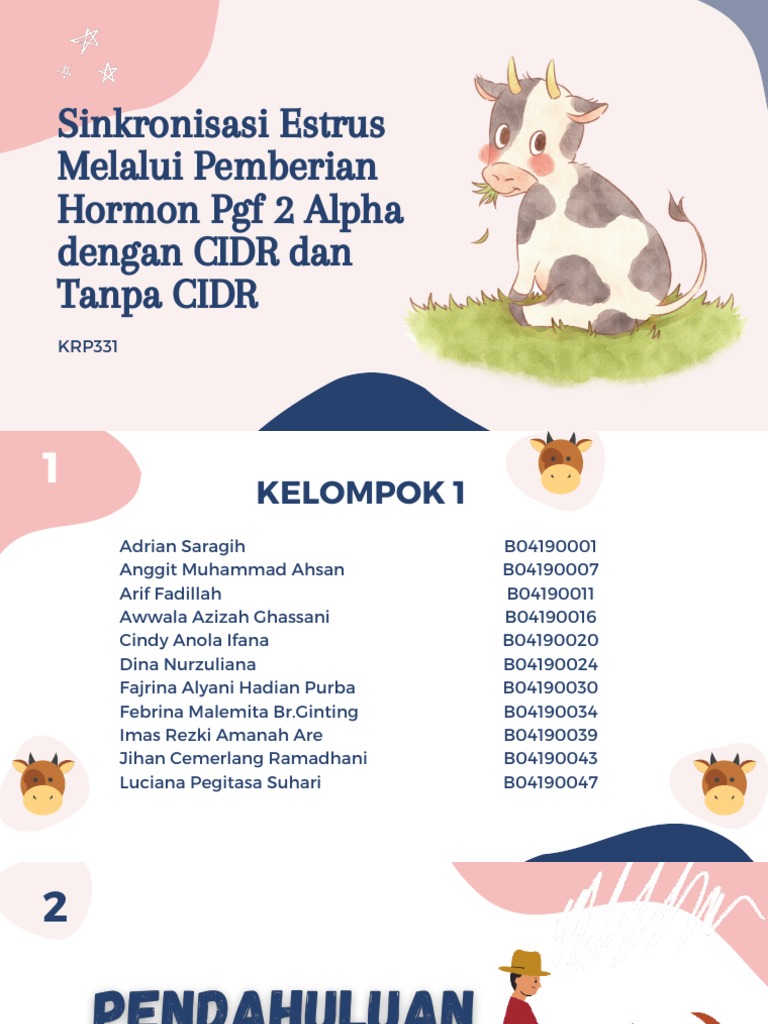 Sinkronisasi Estrus pada Sapi Betina Melalui Pemberian Hormon ...