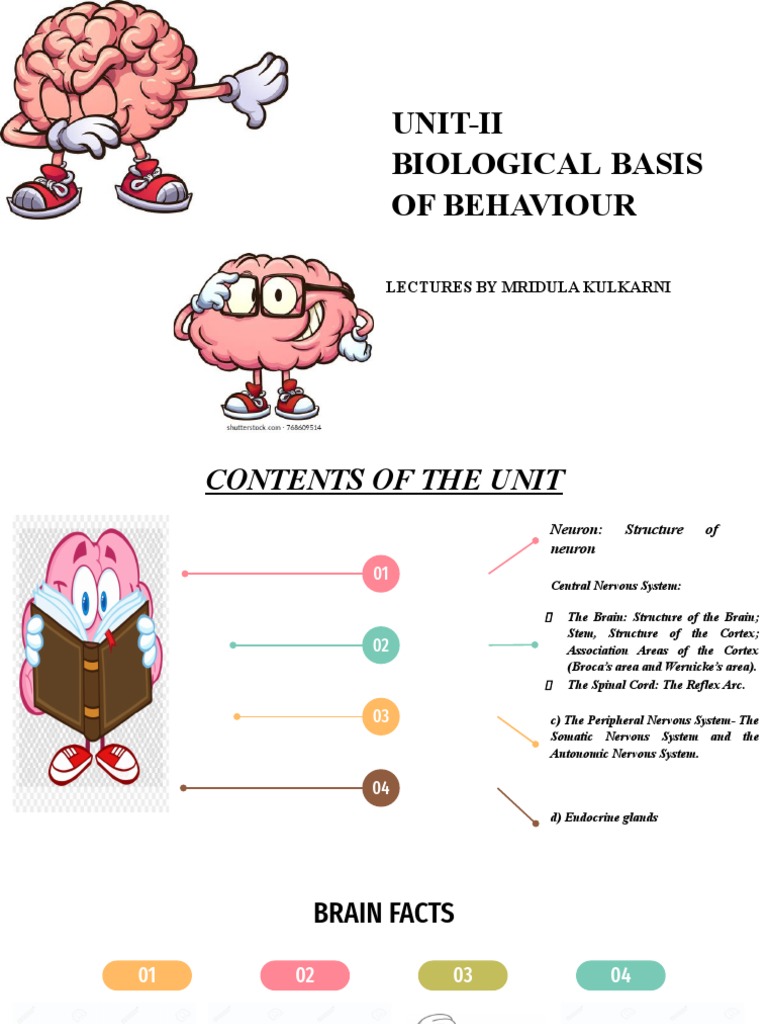 Biological Basis of Behavior Overview | PDF | Nervous System | Neuron