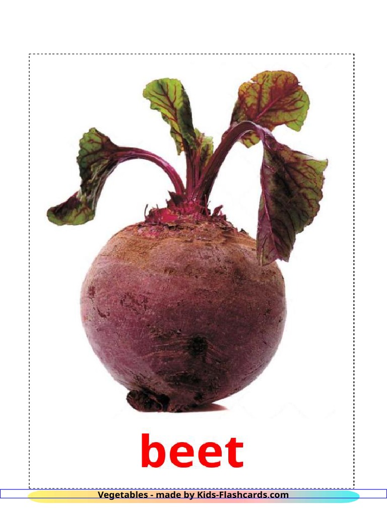Vegetables 1 A4 | PDF