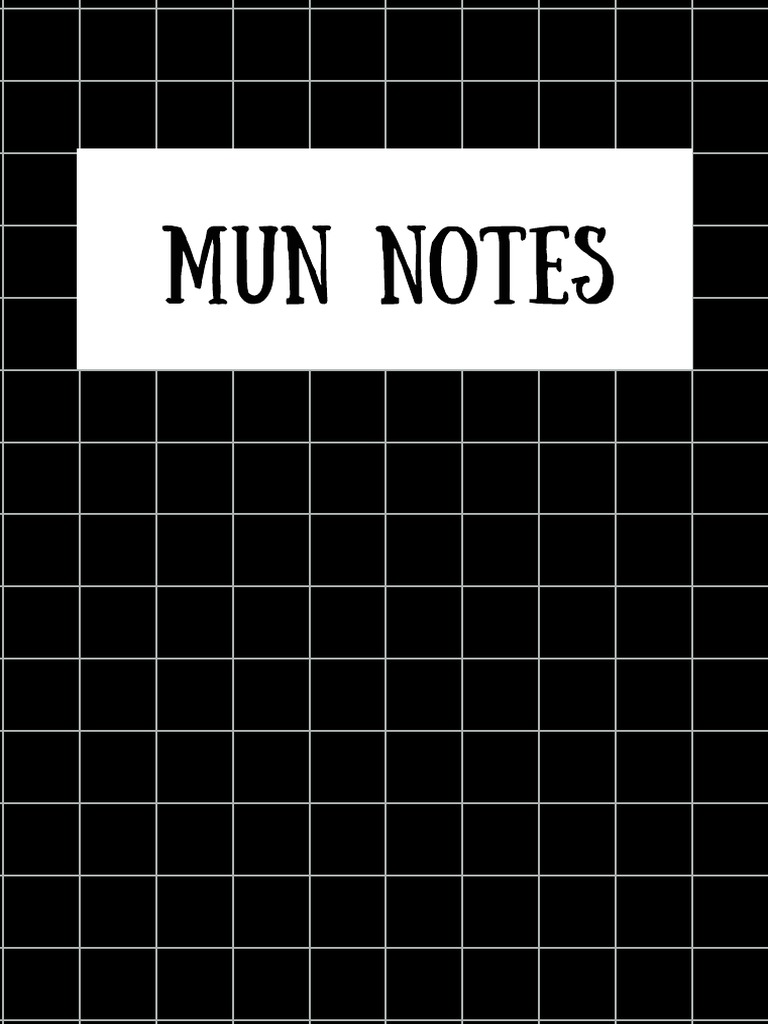 MUN Notes For Beginners | PDF