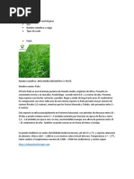 Ficha Técnica Del Pasto Guinea (Panicum Máximum Cv. Guinea Común) | PDF