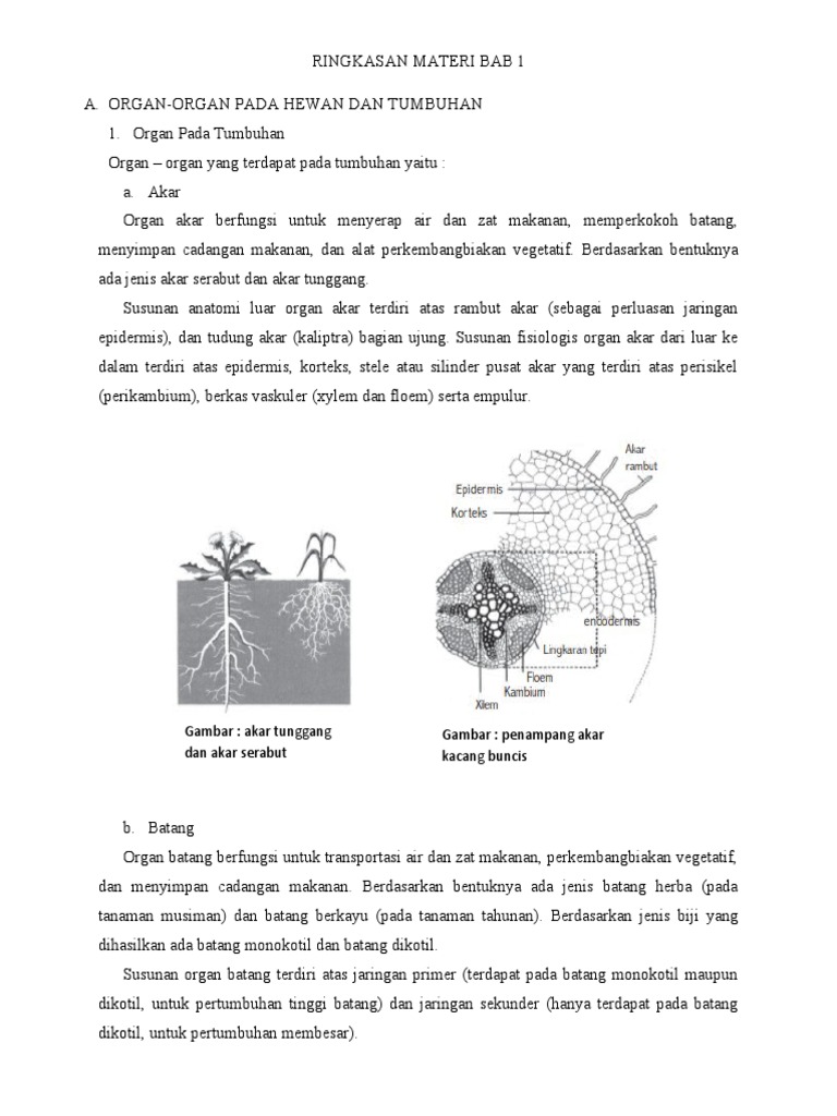 Ringkasan Materi Bab 1 Tentang Organ Dan Sistem Organ | PDF