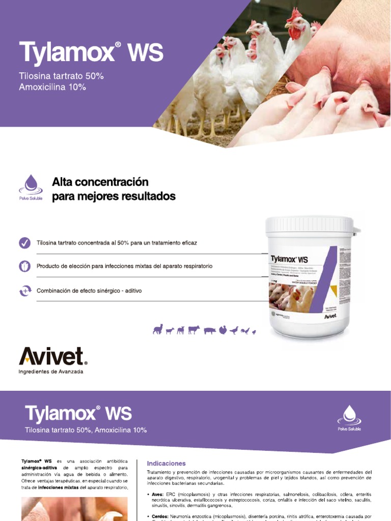 Tylamox Ws 170 | PDF