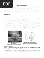Canino Temporal Superior | PDF | Anatomia dental | Diente