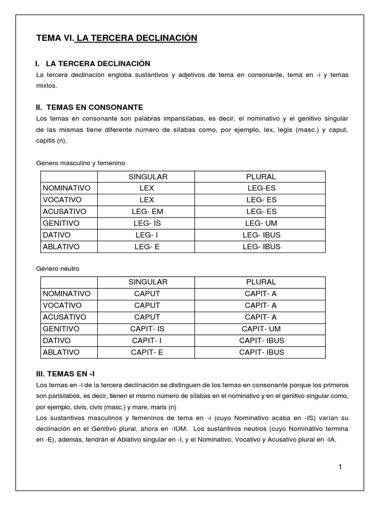 Latin Tema6 | PDF | Gramática | Semántica