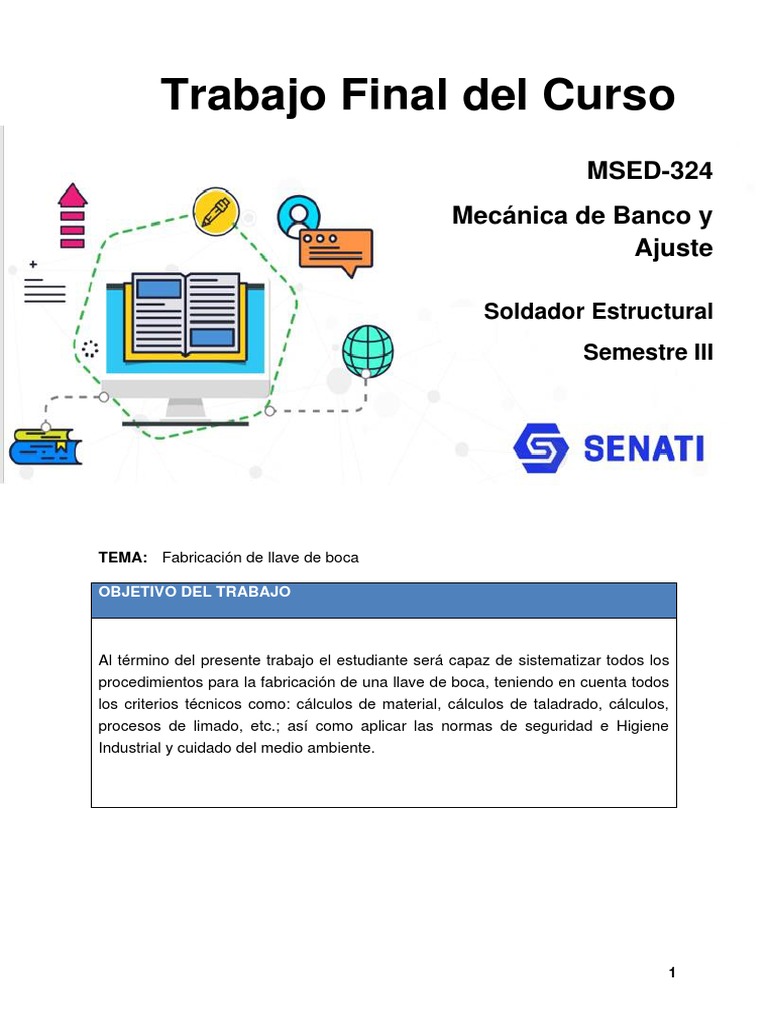 Msed Msed-324 Trabajofinal | PDF