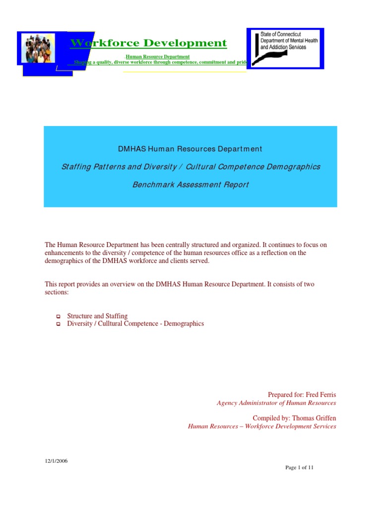 Workforce Development: Staffing Patterns and Diversity / Cultural ...