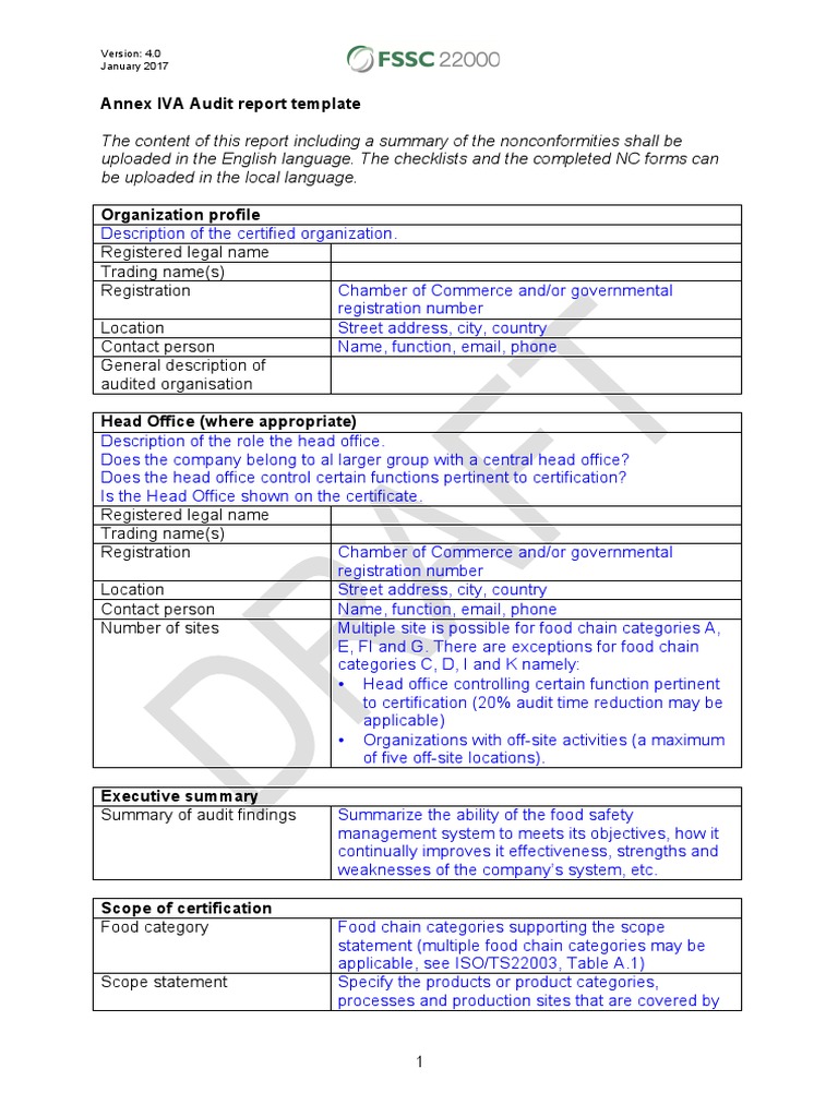 Part 4 - Annex 4 Audit Reporting Template | PDF | Audit | Business