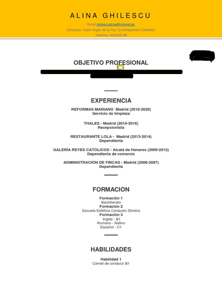 CV Alina 1 | PDF