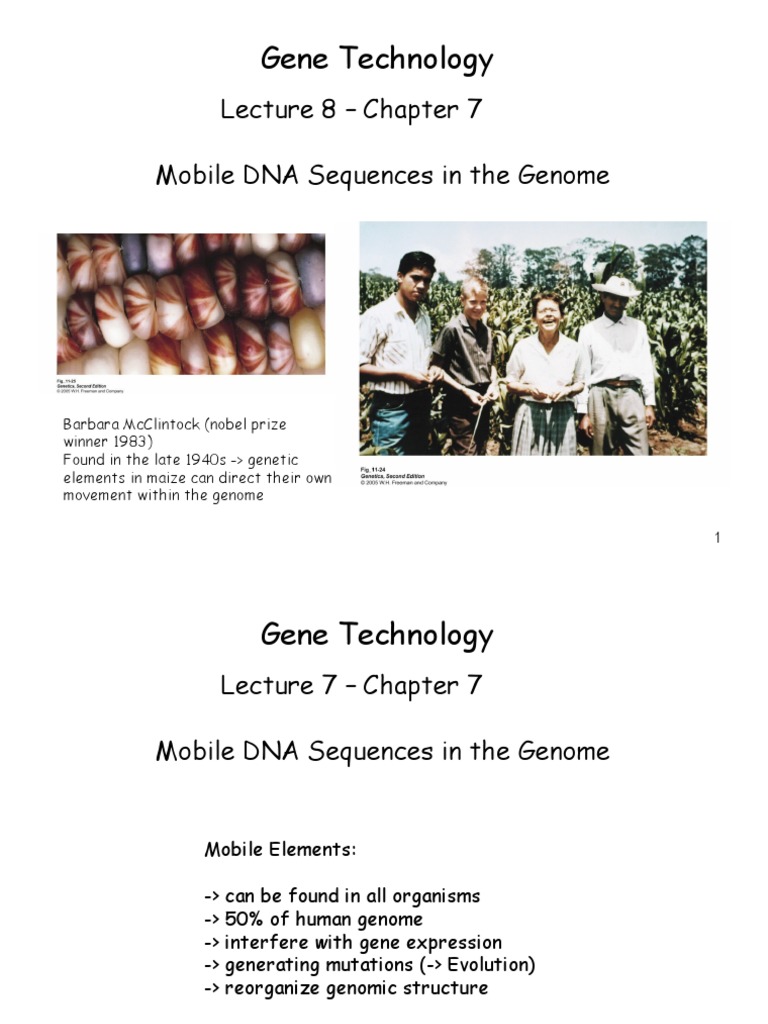 Gene Technology: Lecture 8 - Chapter 7 Mobile DNA Sequences in The ...