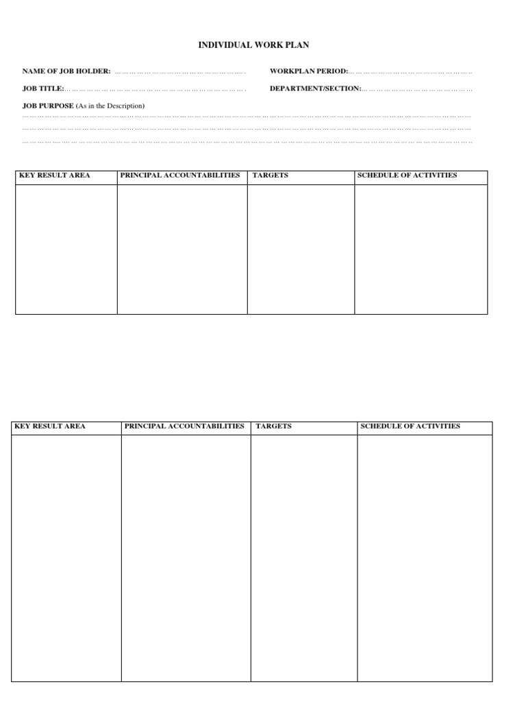 Individual Work Plan | PDF