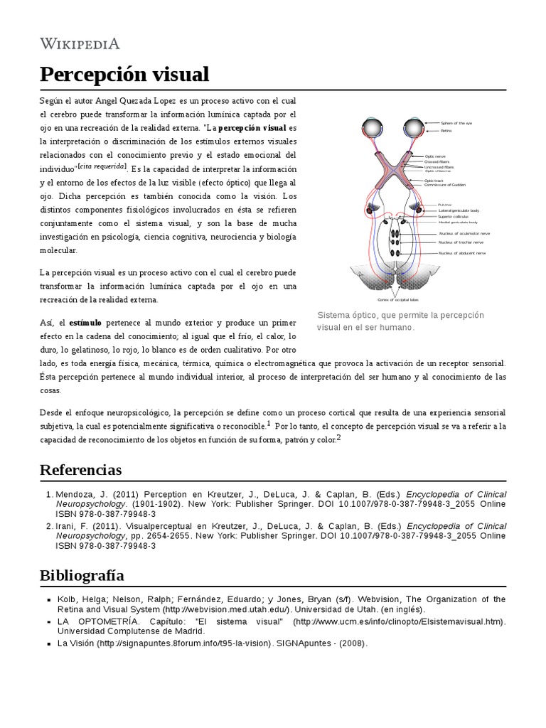 Percepción Visual | PDF | Percepción | Percepción visual