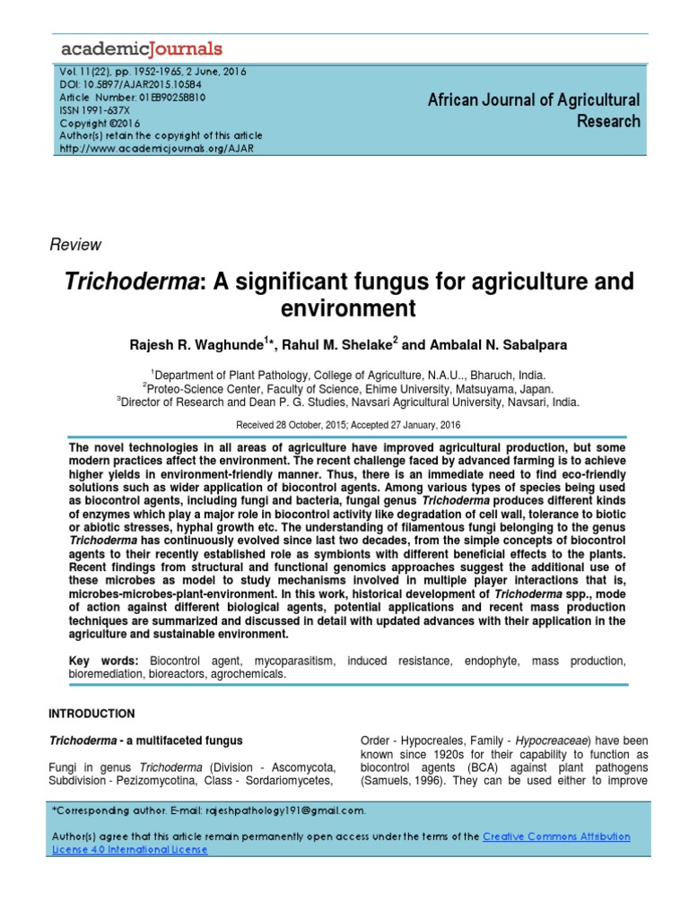 Trichoderma: A Significant Fungus For Agriculture And: Environment | PDF | Fungus | Plant Pathology
