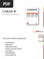 Test Caras | PDF | Informática