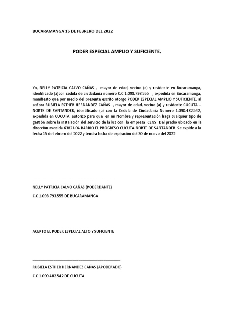 PODER ESPECIAL AMPLIO Y SUFICIENTE - NELLY - Luz | PDF