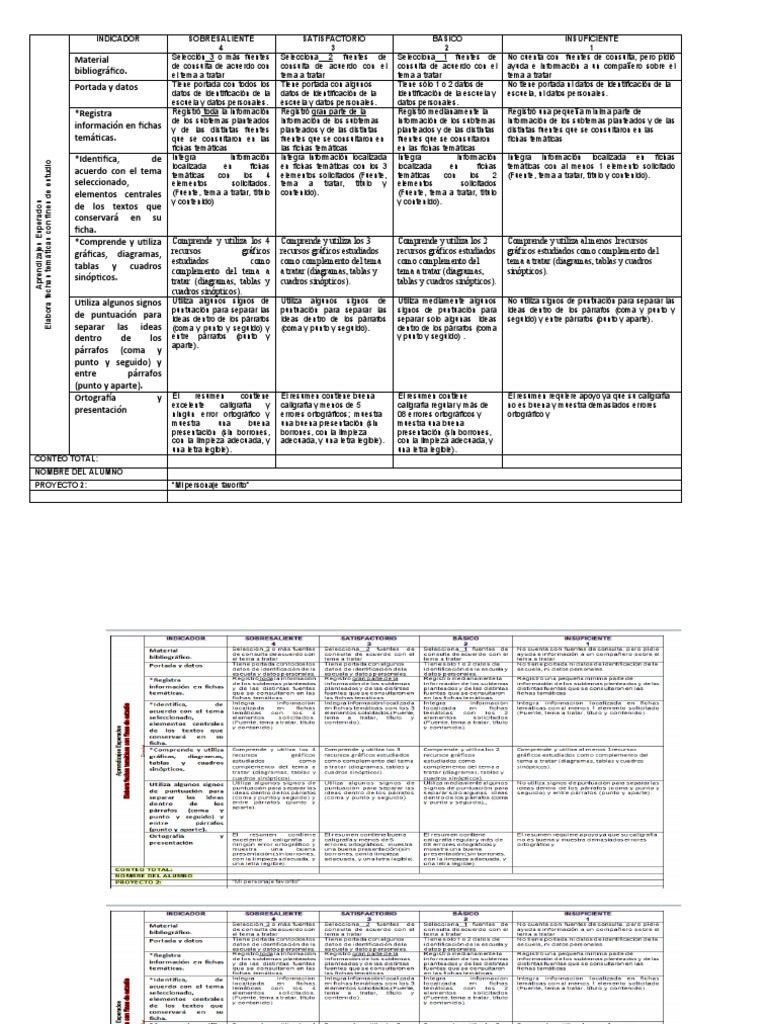 Lista de Cotejo-Fichas Tematicas | PDF | Puntuación